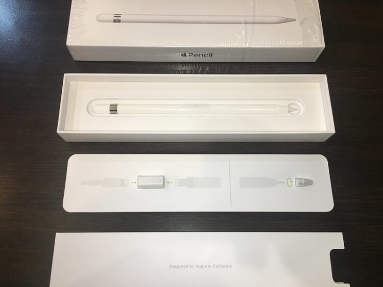Apple Pen: Best Ways To Make an Apple Pen 2021